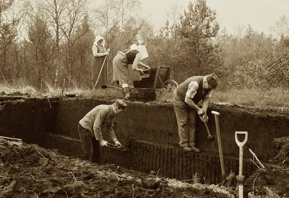 Das Moor - Tister Bauernmoor